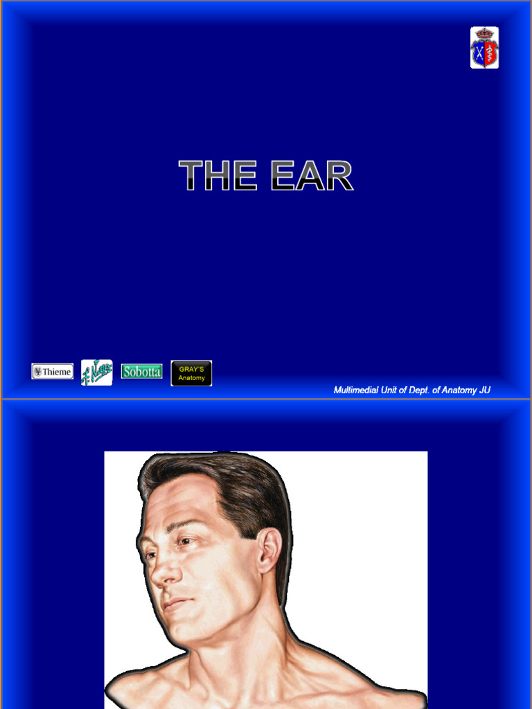 The-Ear | PDF | Ear | Auditory System