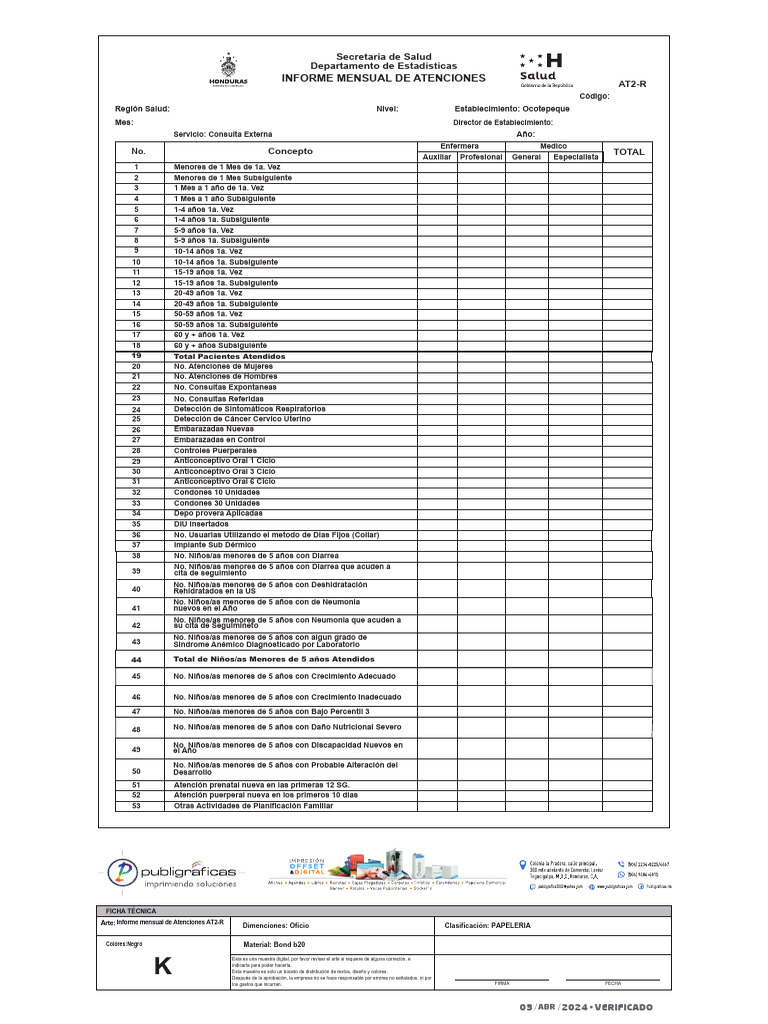 Informe Mensual de Atenciones: Secretaria de Salud Departamento de Estadisticas AT2-R | PDF ...
