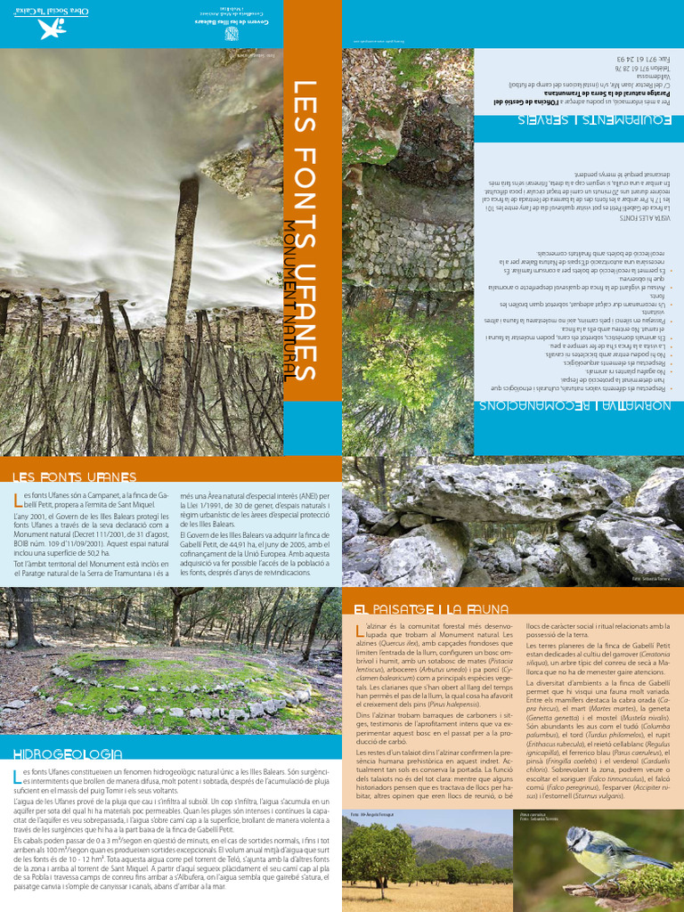 Triptic FontsUfanes CAT CX JQ-W | PDF