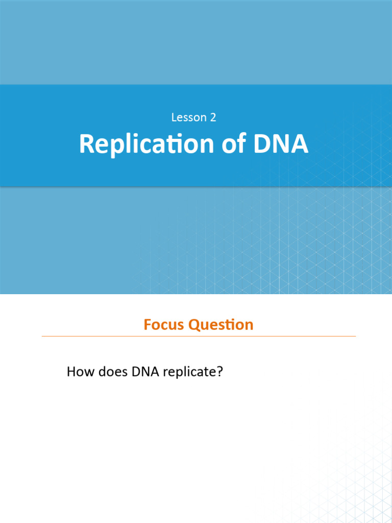 CA Lesson 2 Replication of DNA | Download Free PDF | Dna Replication | Dna