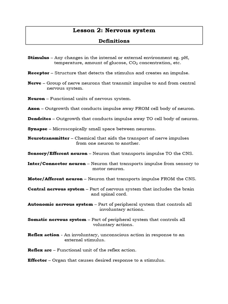 Definitions-Nervous System | PDF