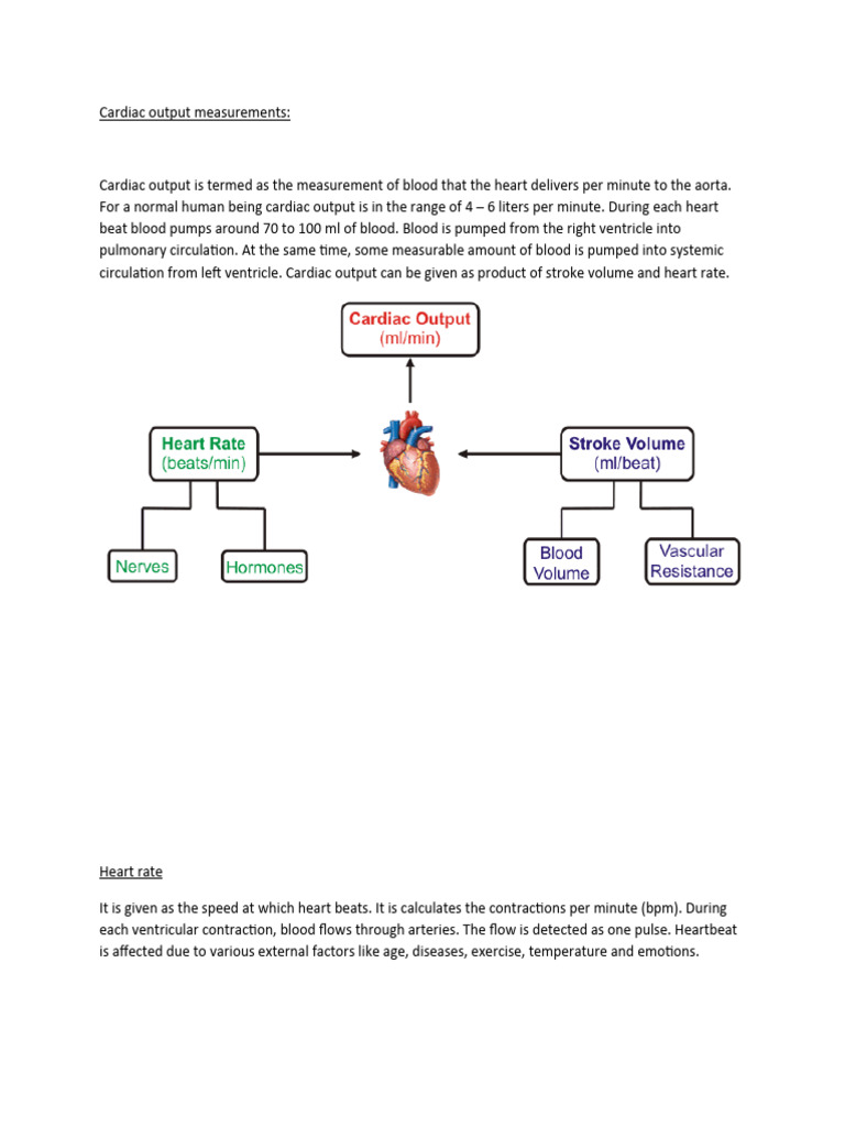 Cardiac Output | PDF | Heart | Ventricle (Heart)