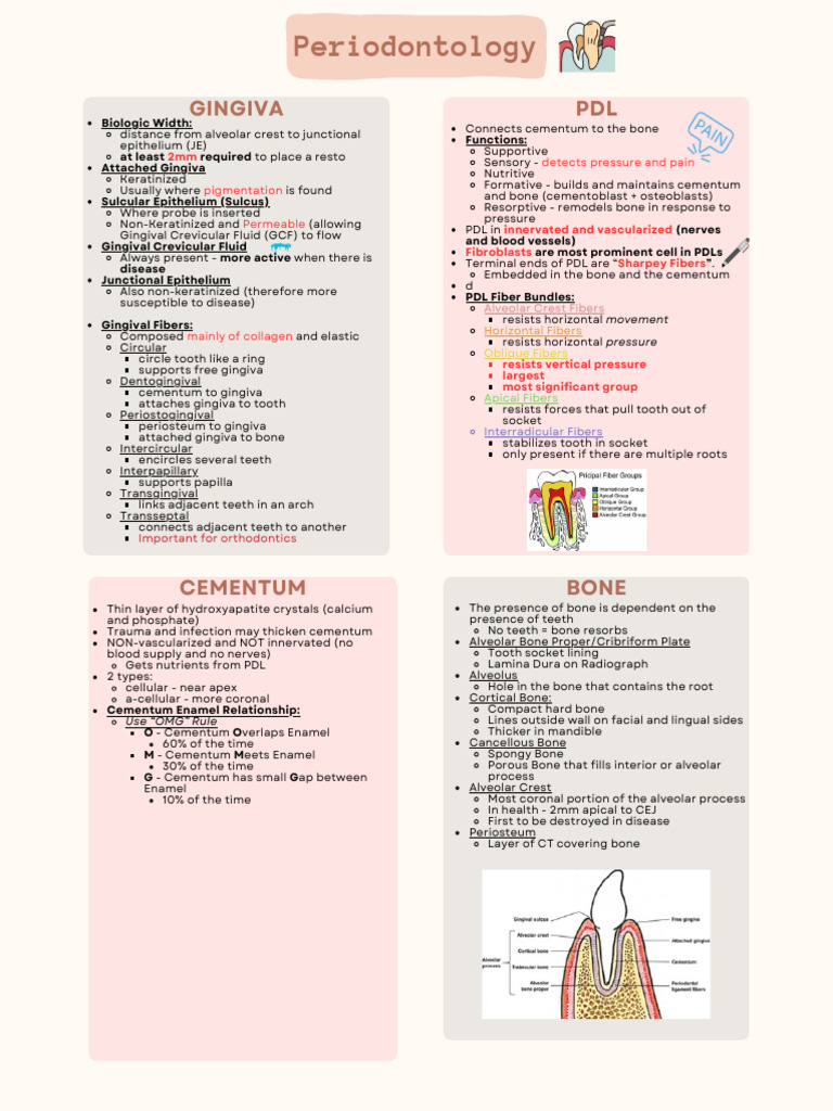 Board Review - Periodontics Notes | PDF | Periodontology | Human Tooth