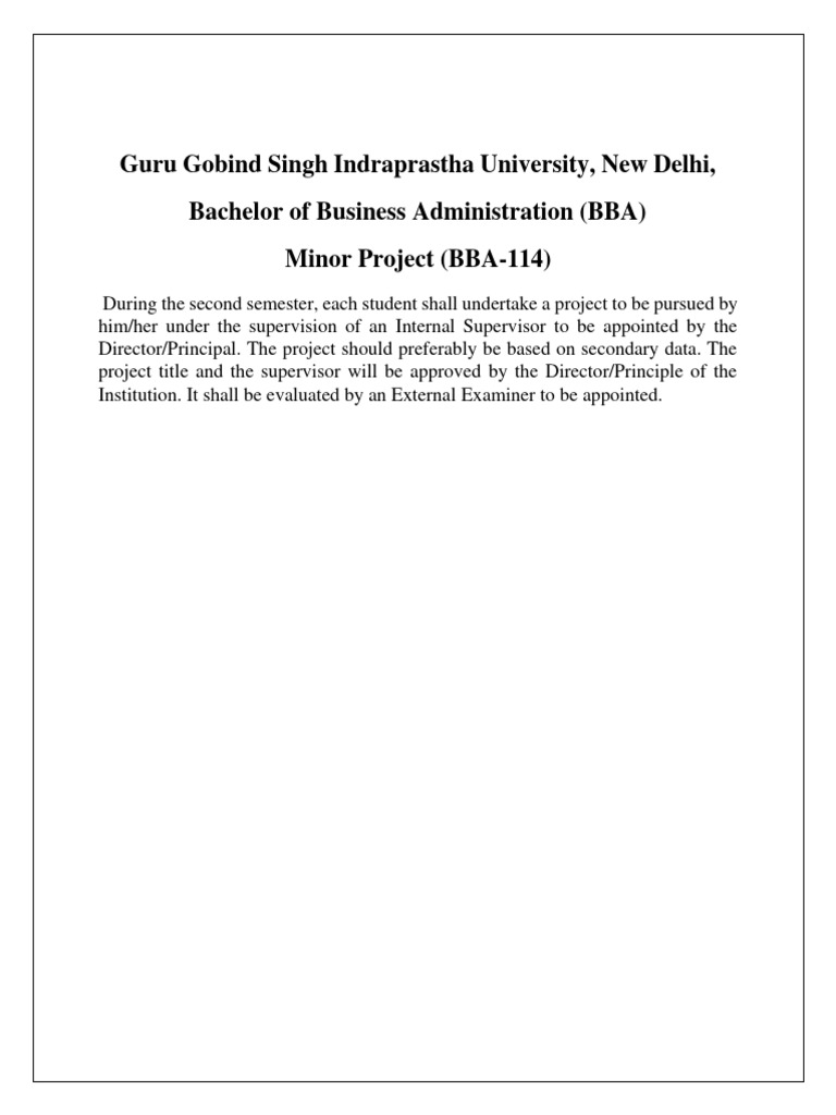 Minor Project Guidelines - BBA II | PDF | Paragraph | Marketing