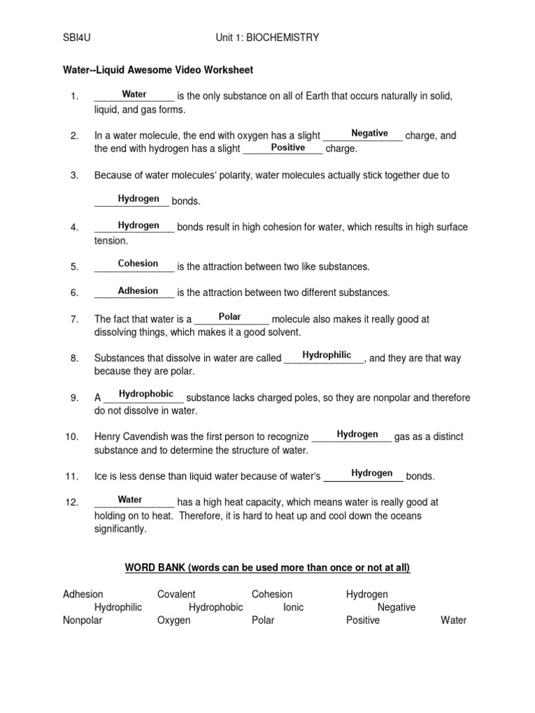 Properties of Water Worksheet | PDF | Chemical Polarity | Water
