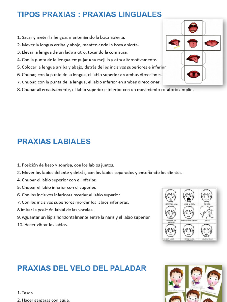 Presentacion Praxias Pdf