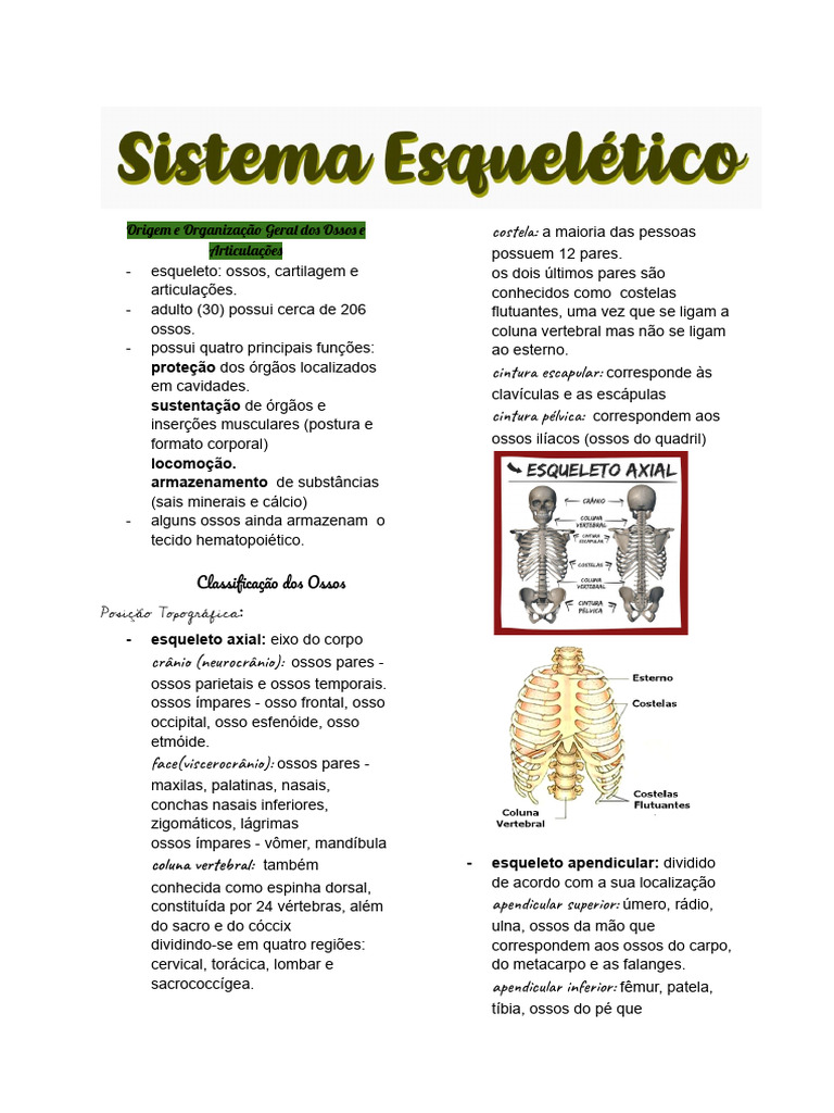 Resumo Sistema Esquelético | PDF | Osso | Cartilagem