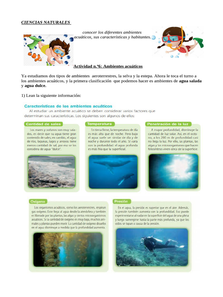 Ambientes Acuáticos para Primaria | PDF