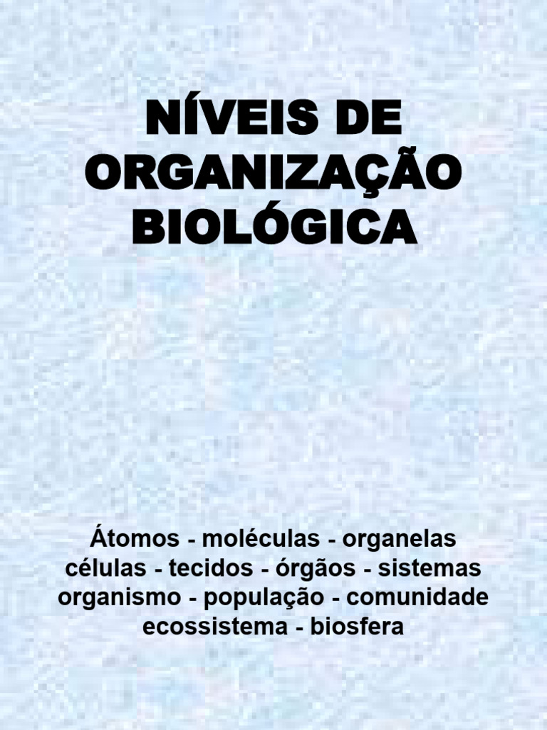 Template - N-Veis de Organiza - o Dos Seres Vivos. 1 - Ano | PDF | Ciências e Matemática