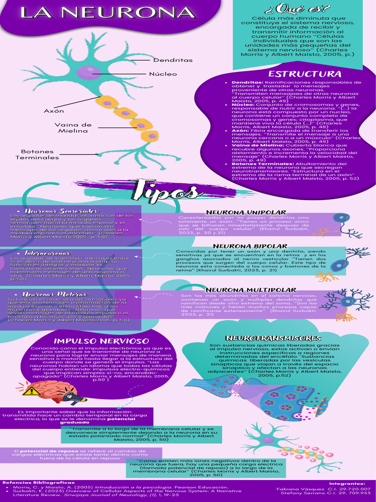 Las Neuronas | PDF | Neurona | Axon