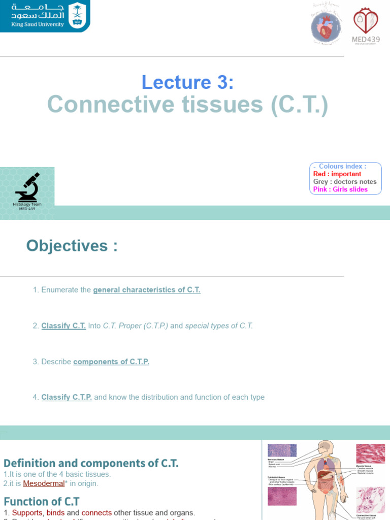 Connective Tissue | PDF | Connective Tissue | Anatomy