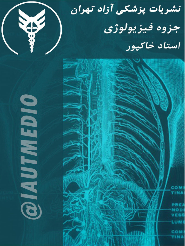 Muscles | PDF