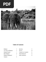 Elephant | PDF