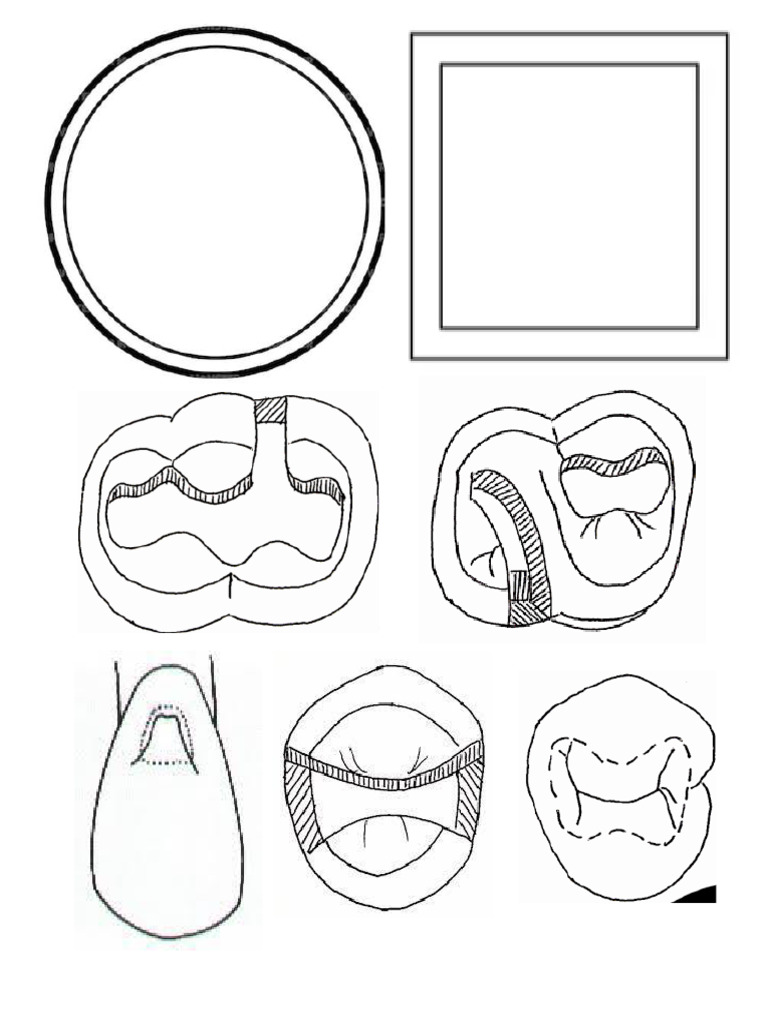 Operatoria Dental II | PDF