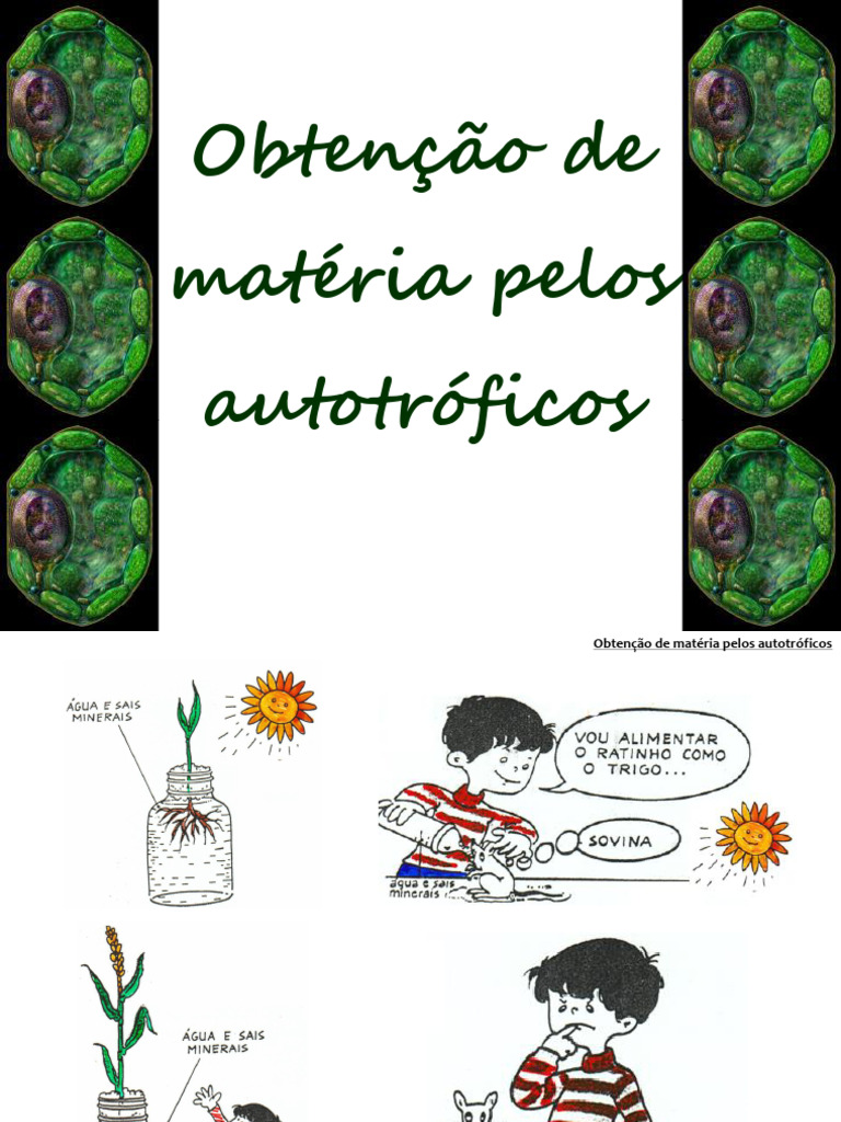 Fotossíntese e Autotrofia: Processos e Experimentos | PDF ...