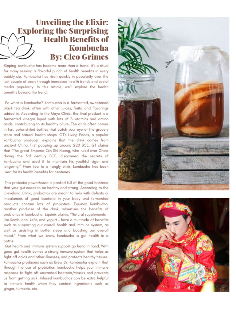Article For The Public Kombucha 3 | PDF | Probiotic | Fermentation In Food Processing