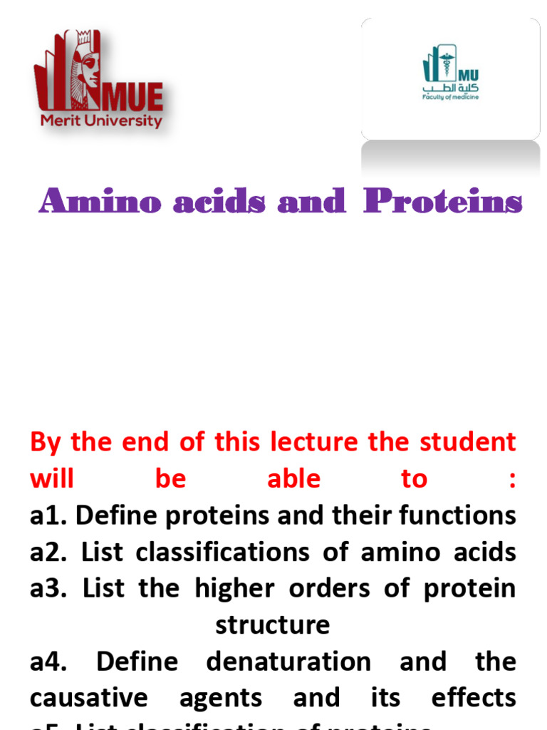 Lecture 1 Biochemistry of Amino Acids and Protein Structure Function | PDF | Amino Acid | Proteins
