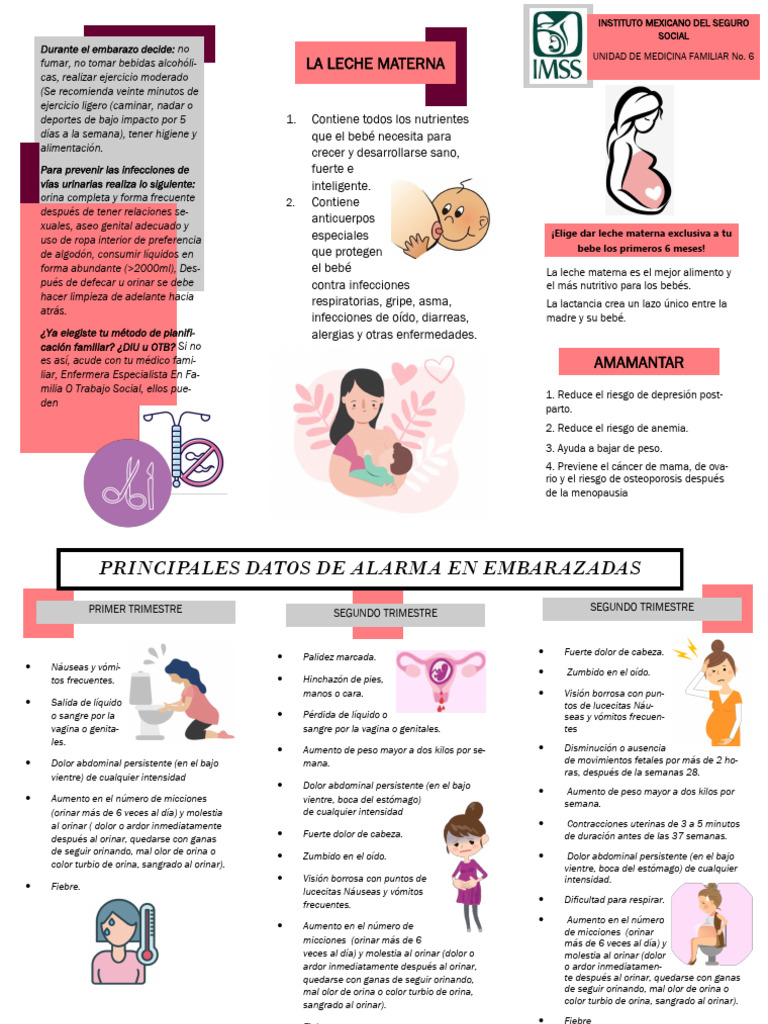 Triptico Embarazada | PDF | El embarazo | Amamantamiento