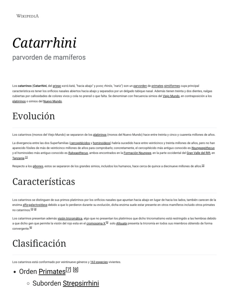 Catarrhini - Hominidos | PDF | Catarrhini | Taxonomía de primates