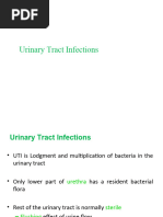 UTI Pathophysiology Explained | PDF | Urinary Tract Infection | Urinary ...
