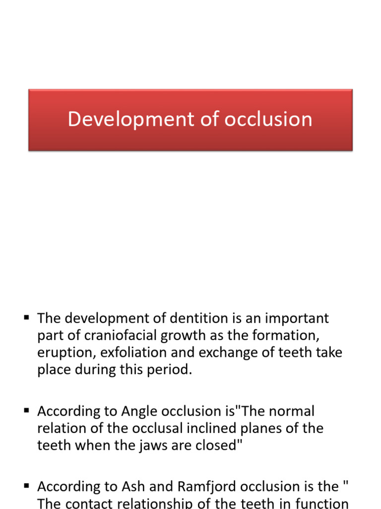 Development of Occlusion 1 | PDF | Tooth | Human Tooth