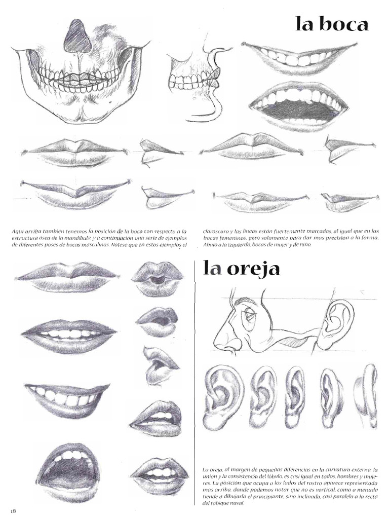 La Oreja - Baja | PDF
