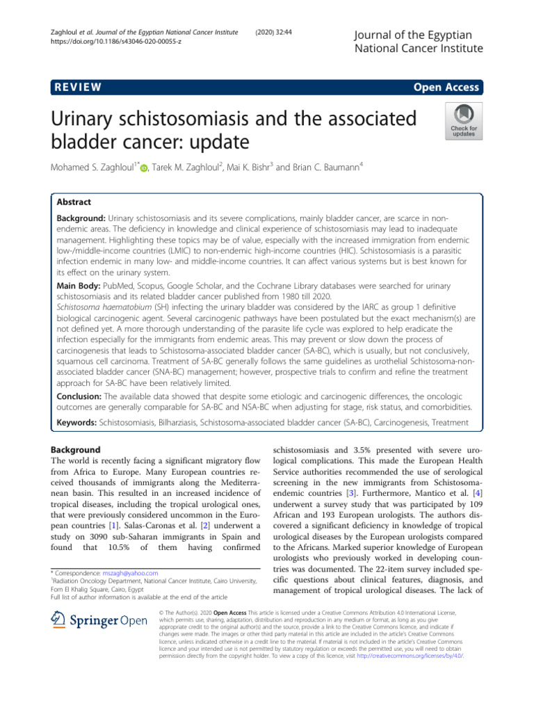 Zaghloul 2020 | PDF | Carcinogenesis | P53