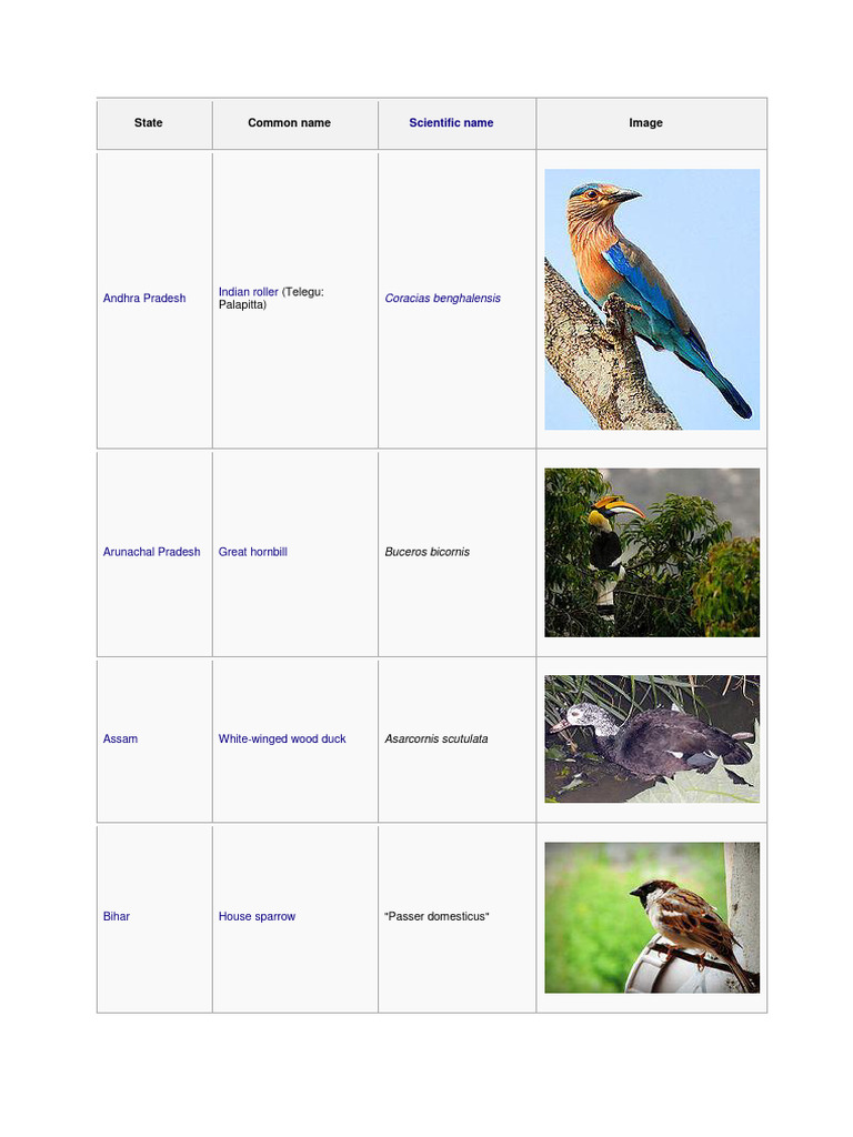 List of Indian State Bird PDF | Download Free PDF | Birds | Fauna Of ...
