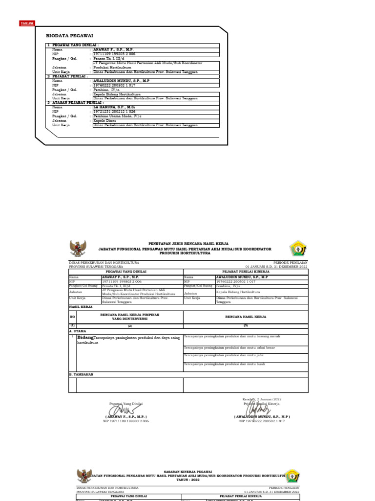 SKP Anaway F 2022 | PDF