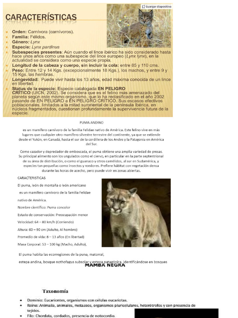 Fichas Informativas para Clasificar Taxonomicamente | PDF