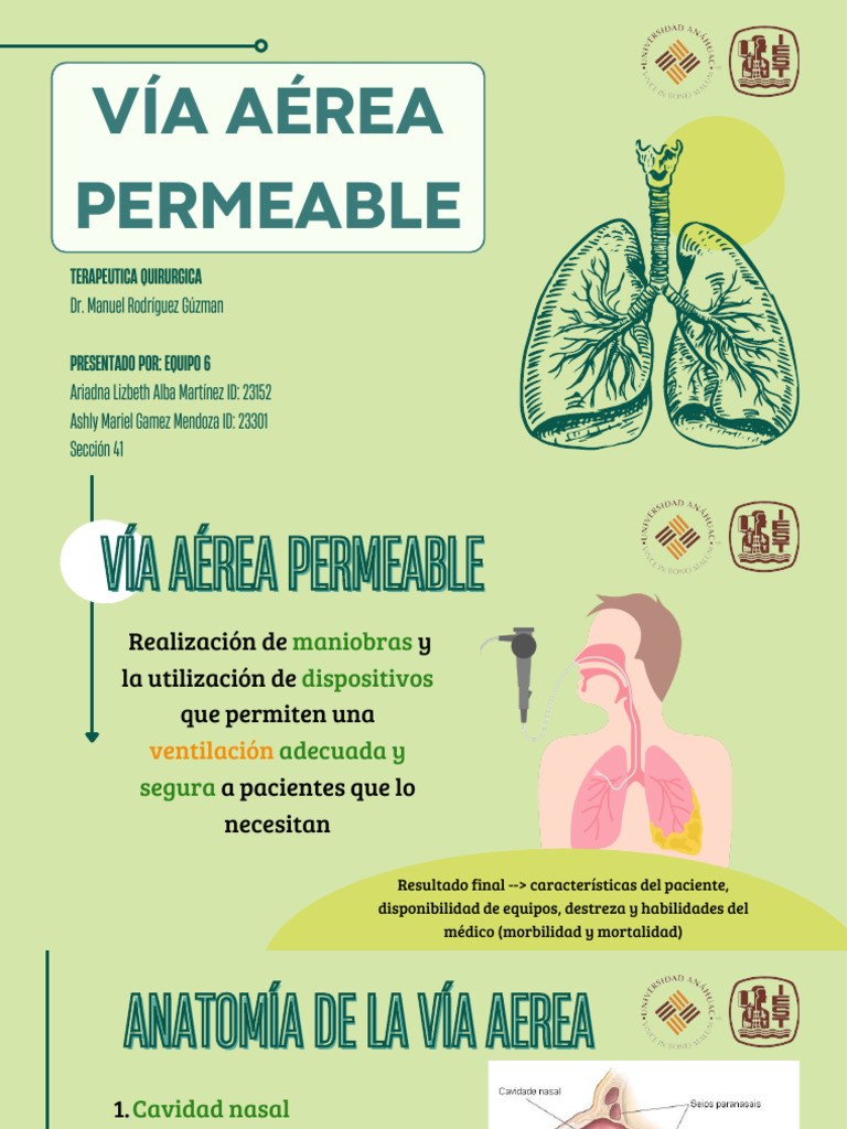 VÍA AREA PERMEABLE | PDF | Laringe | Reanimación cardiopulmonar