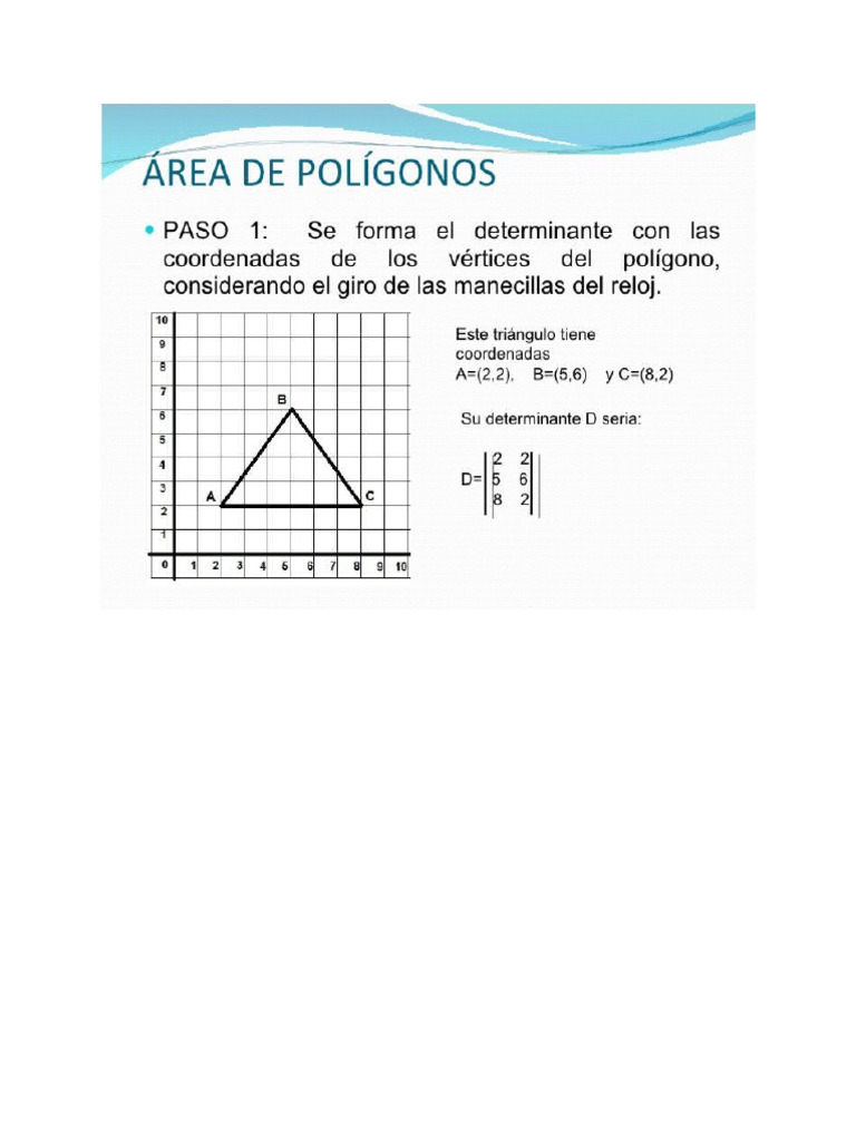 Area y Perimetro de Poligonos en El Plano | PDF