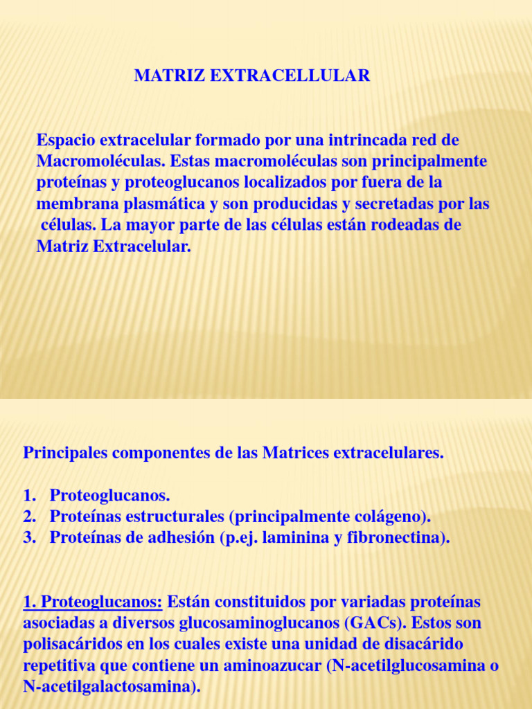 Matriz Extracelular | PDF | La matriz extracelular | Biología Celular)