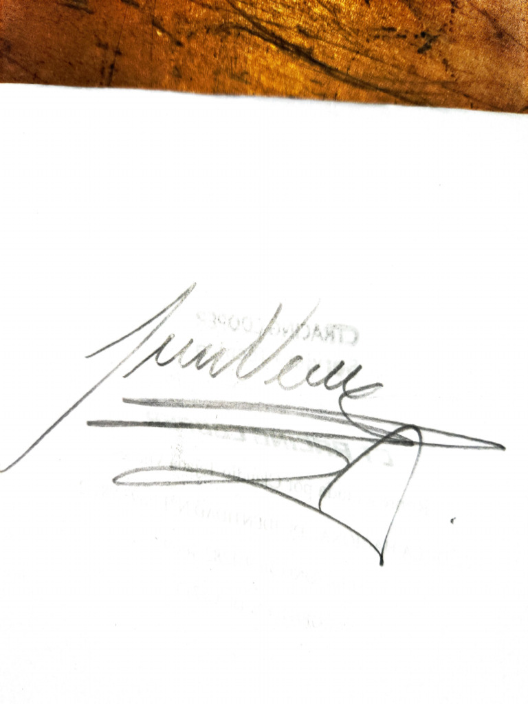 Firma Juan Antonio Vega | PDF