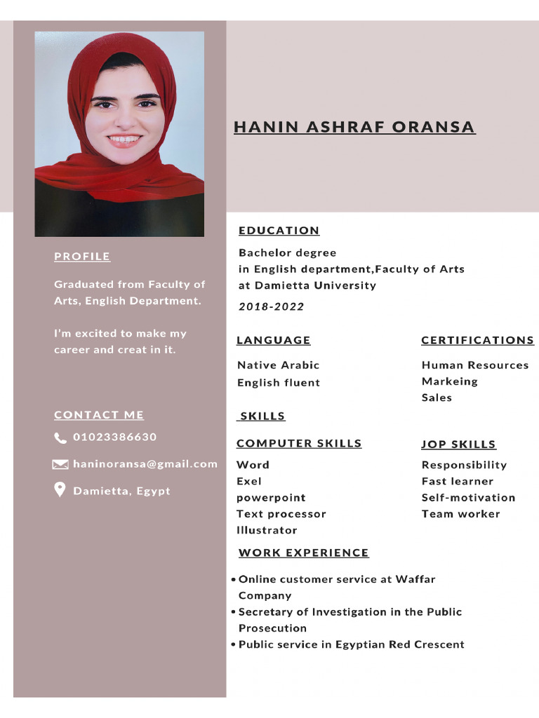 Cv Hanin Ashraf Oransa | PDF