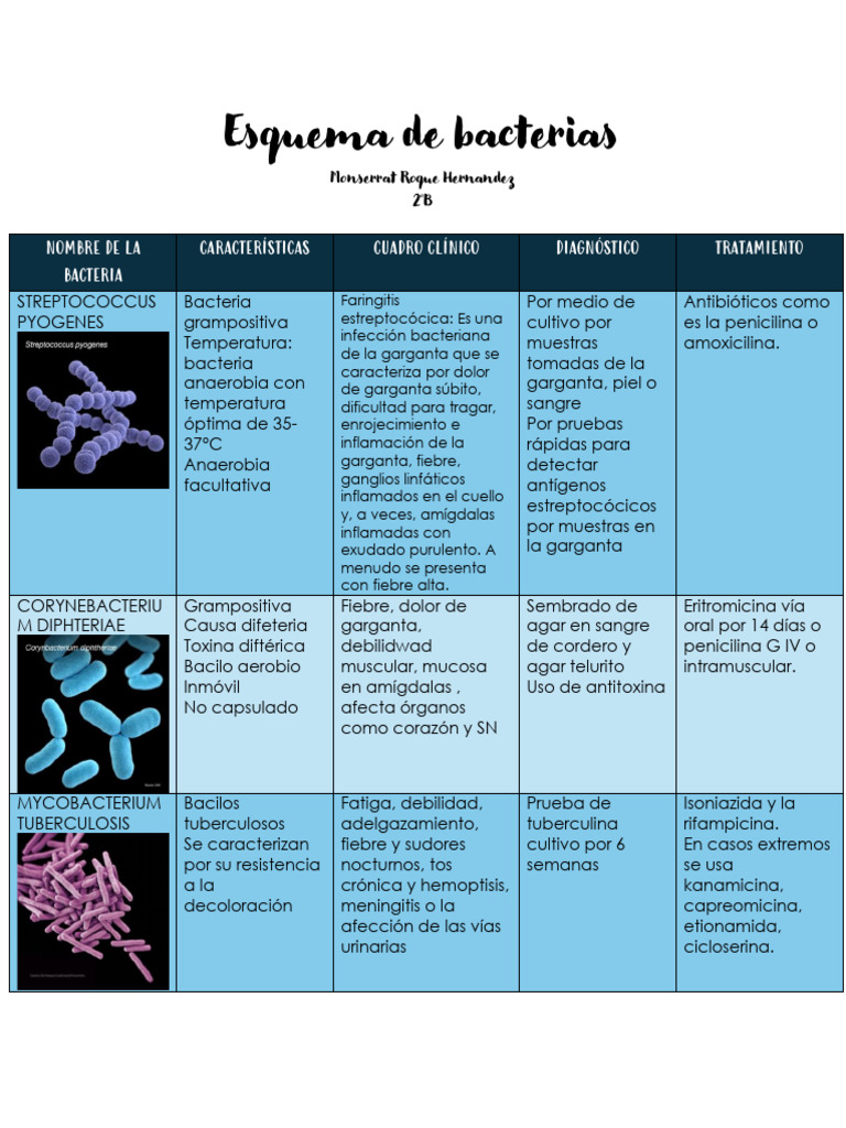 Esquema de Bacterias. | PDF | Inmunología | Microbiología