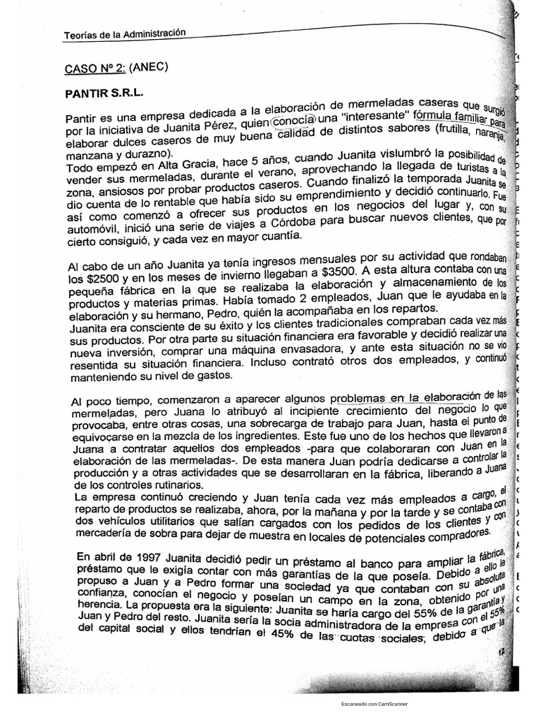 Primer Parcial - Caso pantir srl | PDF