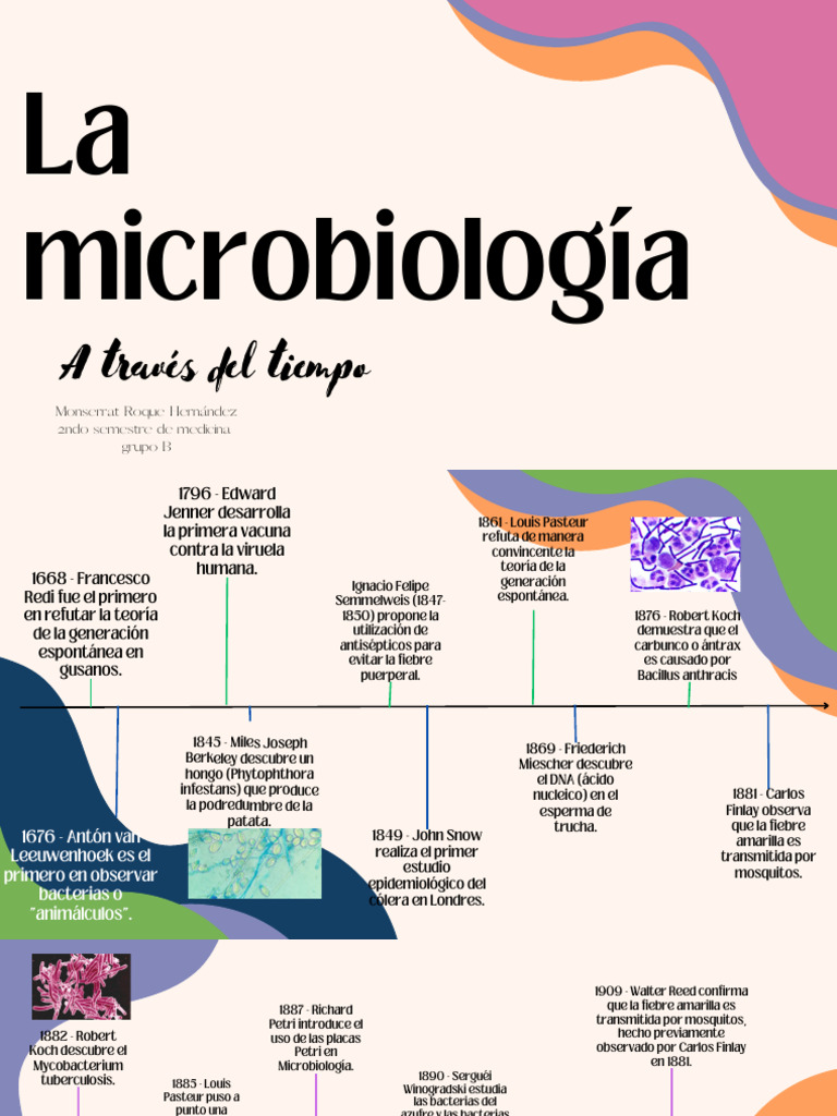 Línea Del Tiempo Microbiología | Descargar gratis PDF | Microbiología | Las bacterias