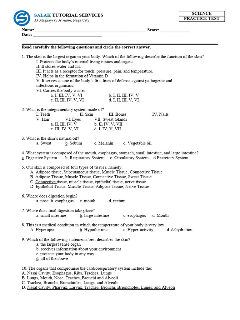 Answer Key Science 6 2nd Quarter | PDF | Respiratory Tract | Lung