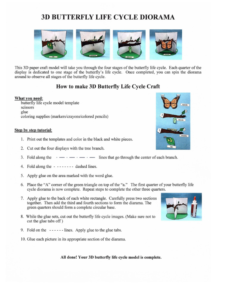3DButterfly-Life-Cycle-Diorama | PDF