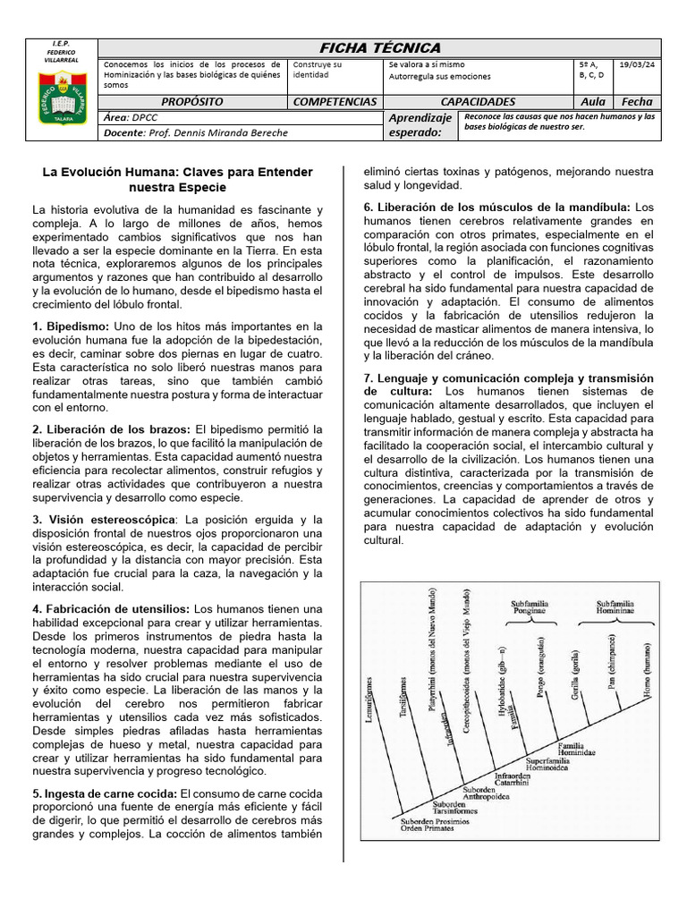 Las Claves de La Evolución | PDF | Humano | Evolución humana