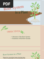 Root and Shoot Systems | PDF | Root | Plant Stem
