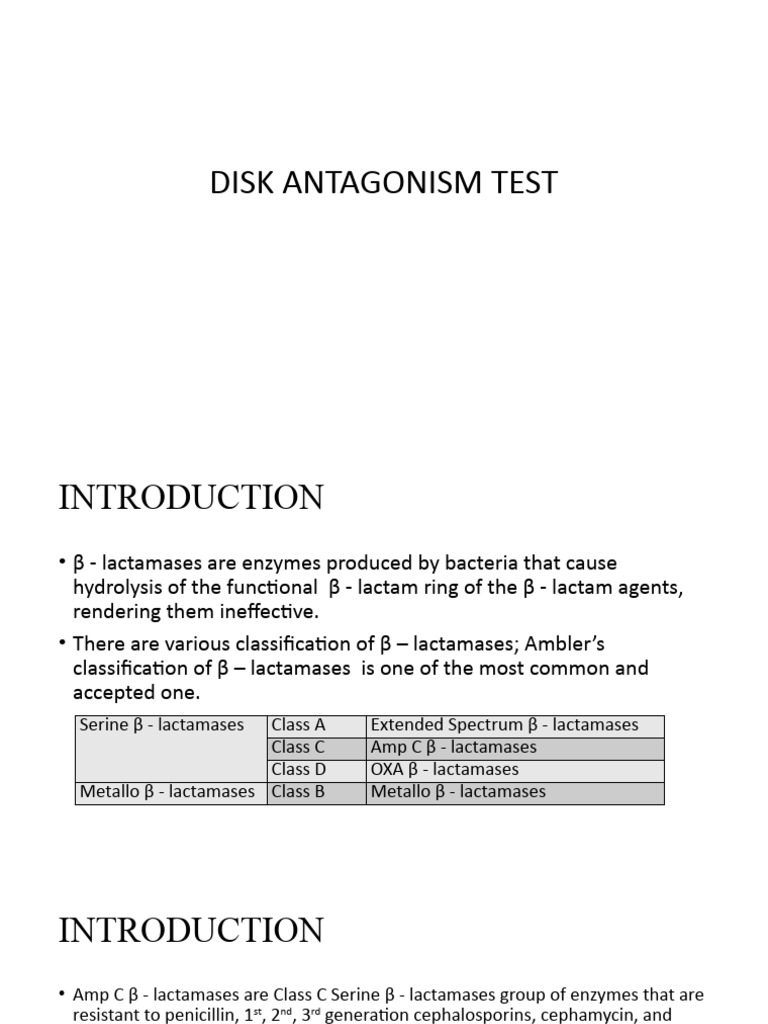Disk Antagonism Test | PDF | Beta Lactamase | Antibiotics