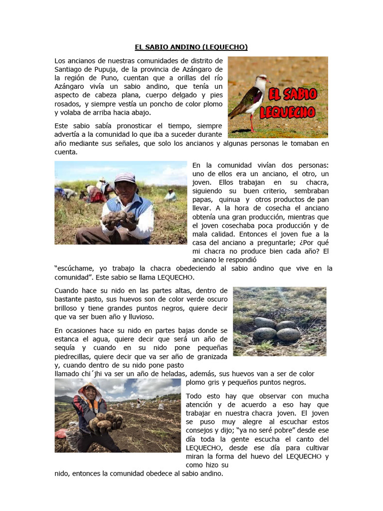 El Sabio Andino | PDF