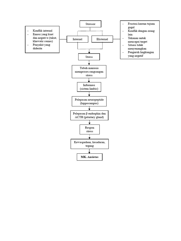 Pathway Ansietas | PDF