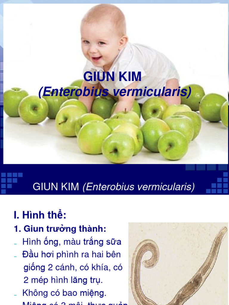 Giun Kim (Enterobius Vermicularis) | PDF