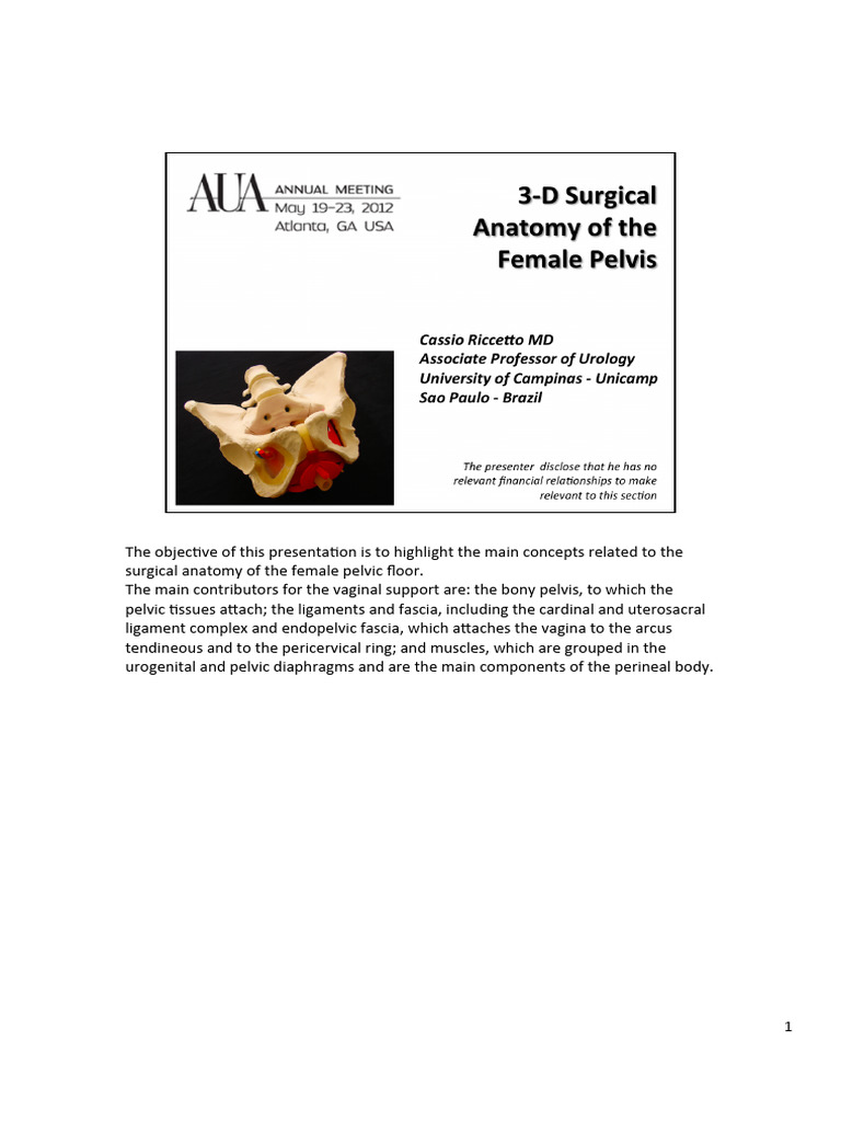 AUA 3D Anatomy Handout Riccetto | PDF | Pelvis | Musculoskeletal System