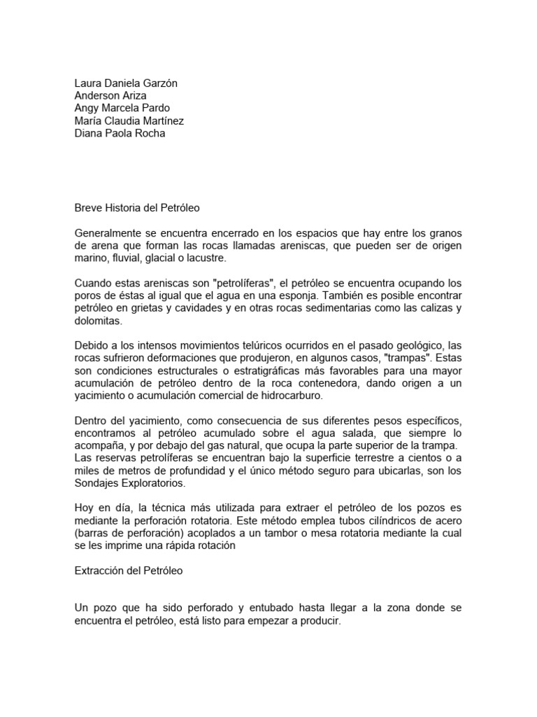 Laura Daniela Garzón | PDF | Petróleo | Contaminación