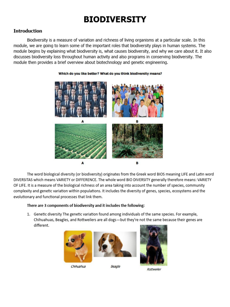 GRP-2 Biodiversity | PDF | Biodiversity | Habitat Destruction