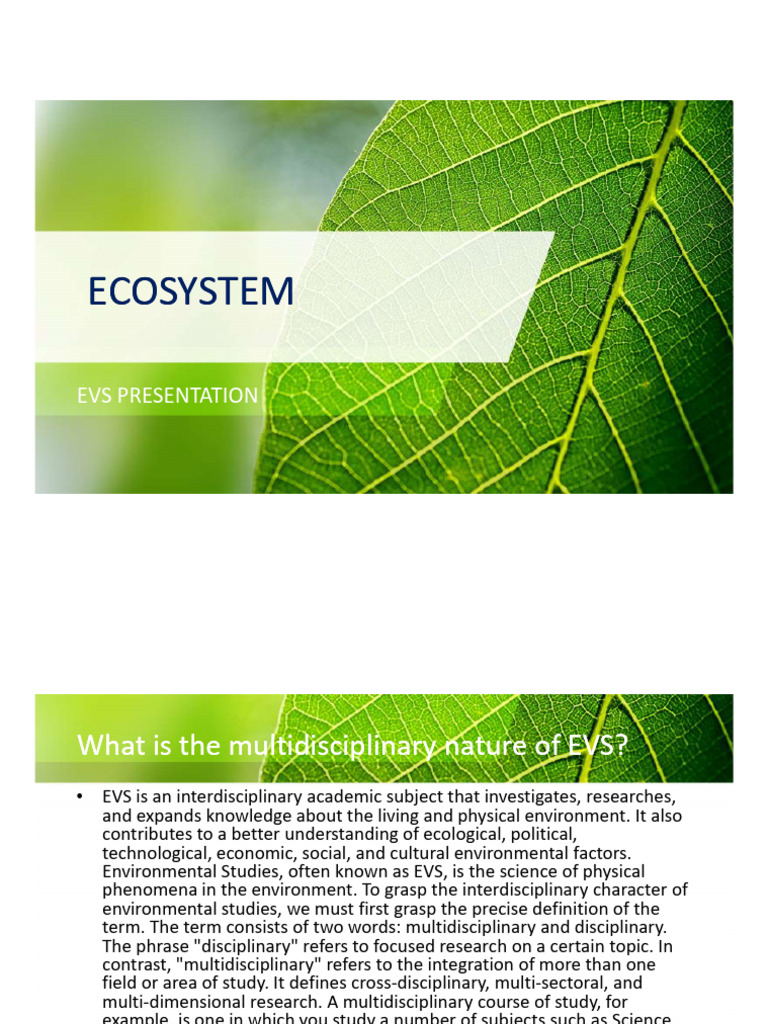 Ecosystem | PDF | Food Web | Ecosystem